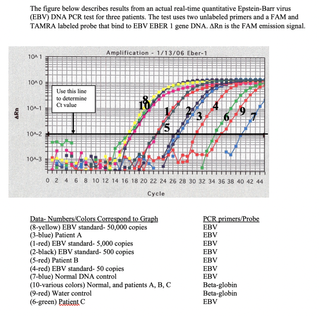 Solved Plot the EBV standard curve and determine the EBV | Chegg.com