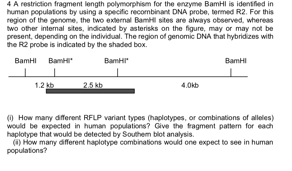 Solved 4 A restriction fragment length polymorphism for the | Chegg.com