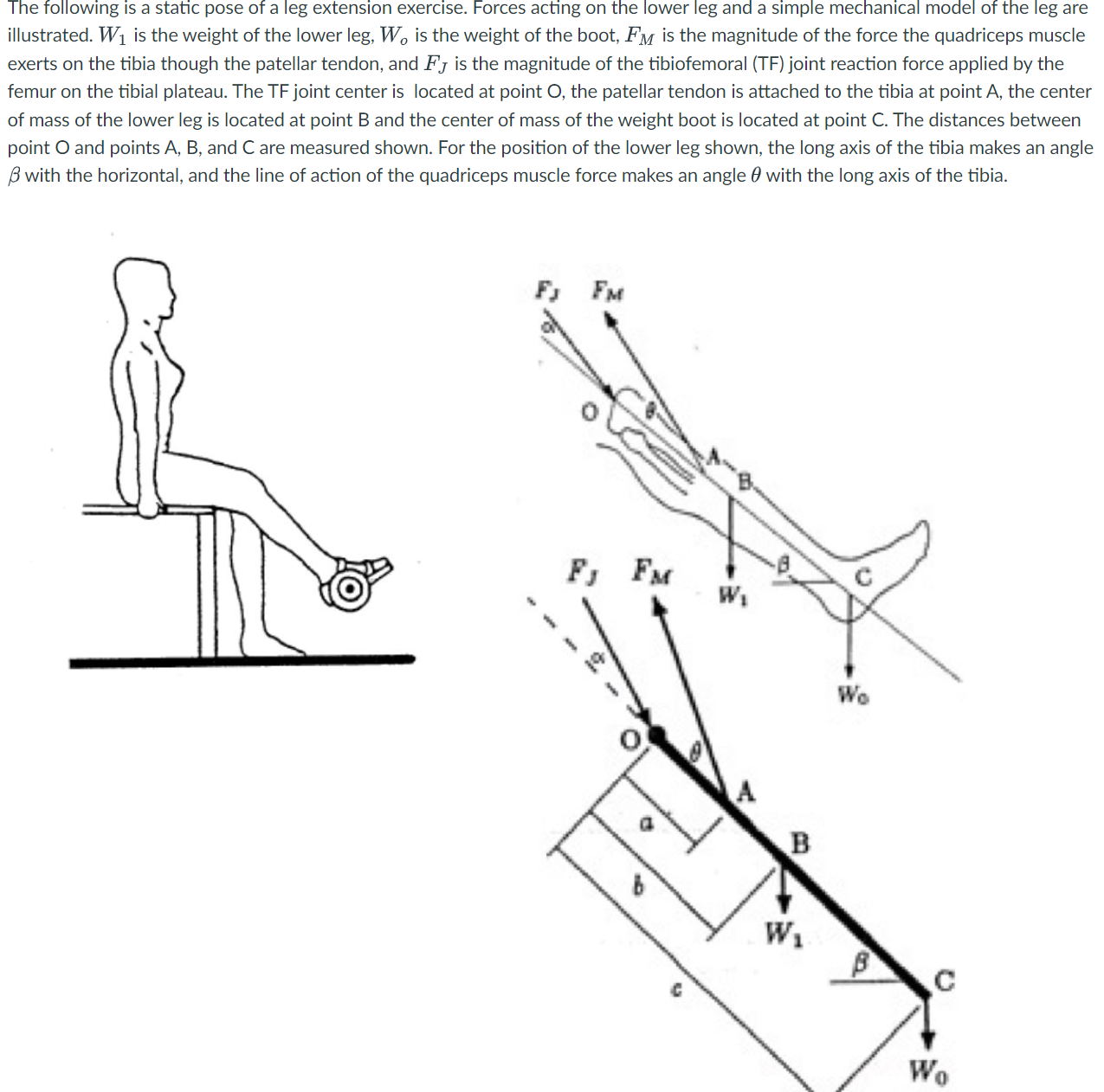 Solved The following is a static pose of a leg extension | Chegg.com