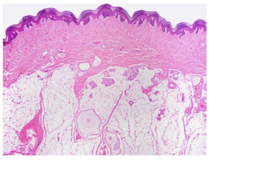 Solved I need help labeling these diagrams below. I have | Chegg.com