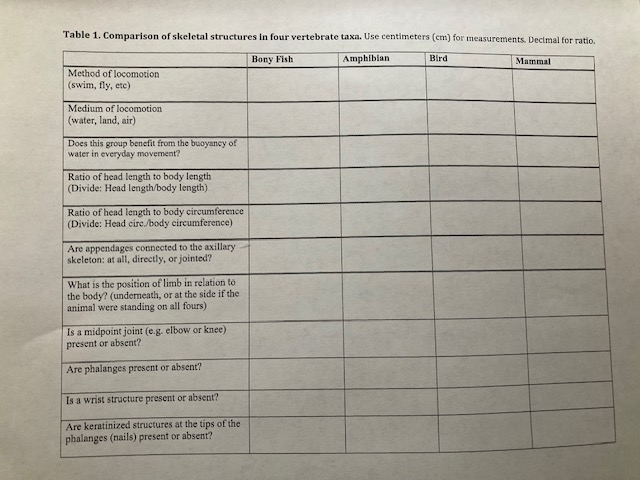 Solved Table 1. Comparison of skeletal structures in four | Chegg.com
