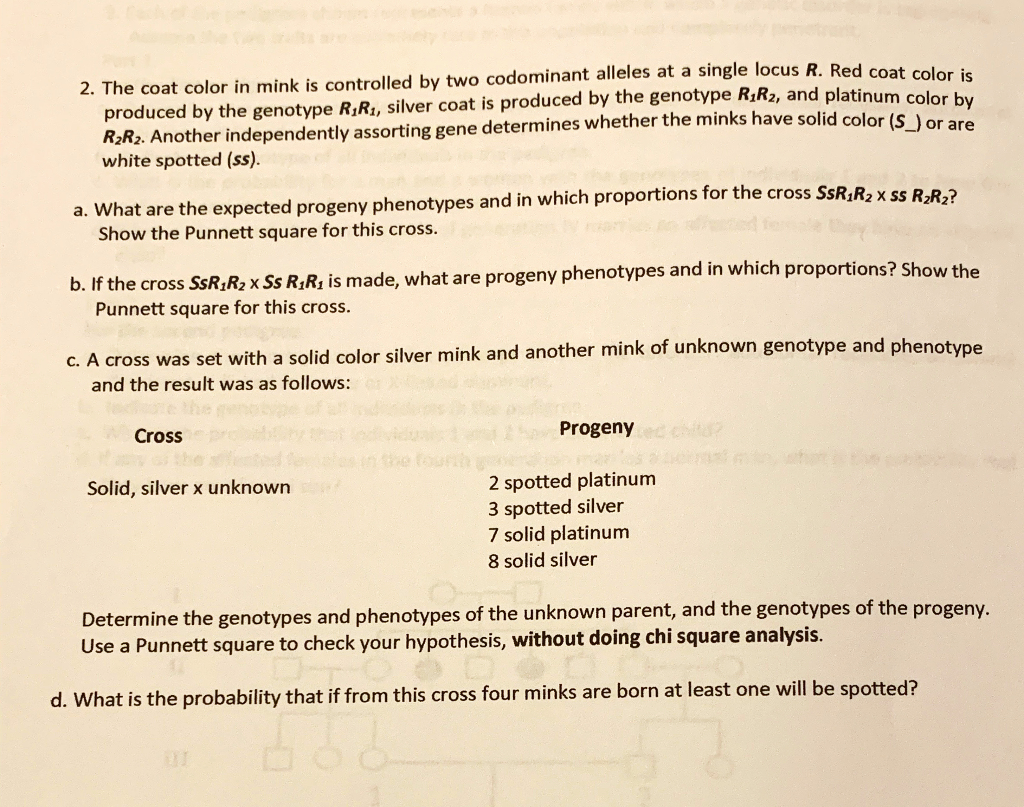 Solved 2. The coat color in mink is controlled by two | Chegg.com