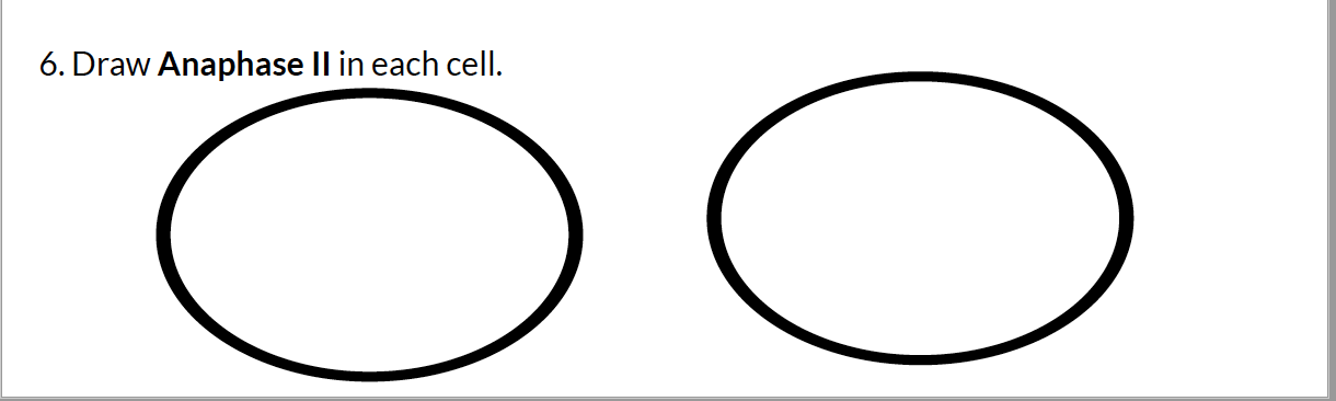 Solved 6. Draw Anaphase II in each cell. OO | Chegg.com