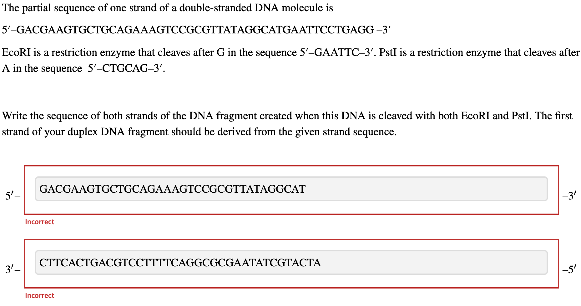 Solved The partial sequence of one strand of a | Chegg.com