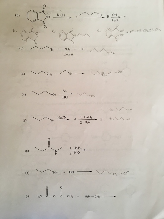 Solved H2O Br + NH3 Excess NH2 + HCl 2. H20 | Chegg.com