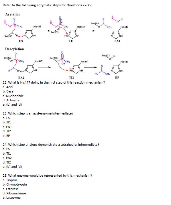 Solved Which step is an acyl-enzyme intermediate? Which step | Chegg.com