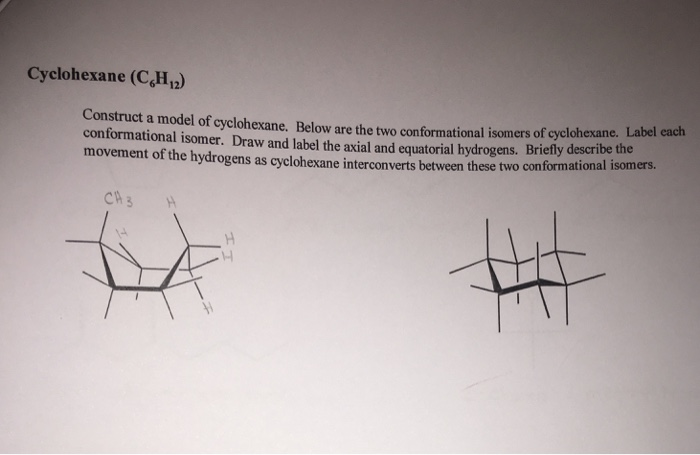 Solved Cyclohexane (CH2) Construct a model of cyclohexane. | Chegg.com