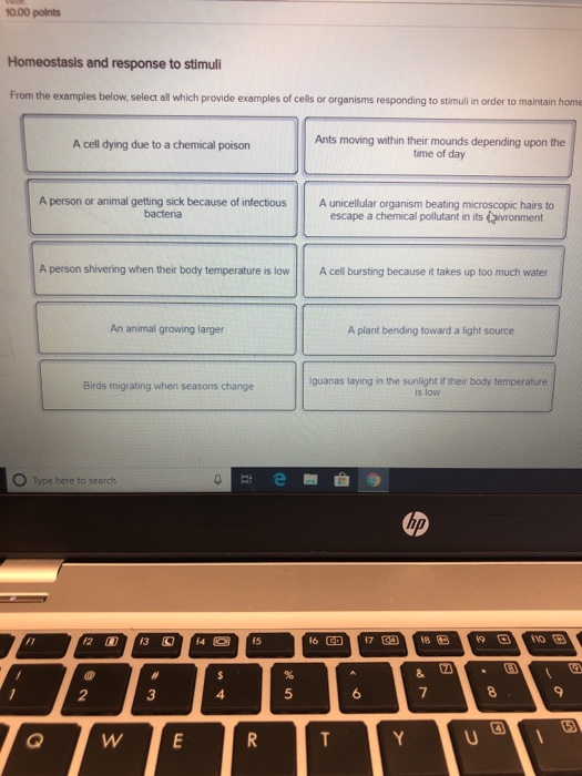 Solved 10.00 points Homeostasis and response to stimuli From | Chegg.com