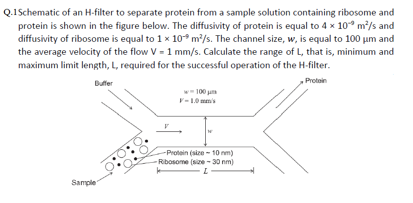 Q.1 Schematic of an H-filter to separate protein from | Chegg.com