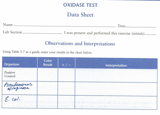 Solved OXIDASE TEST Data Sheet Name ......... Lab Section | Chegg.com