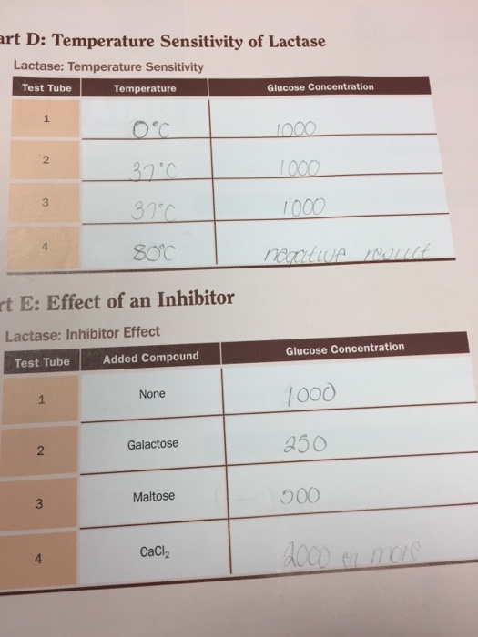 Solved Part B: Analyzing the Specificity of Lactase Lactase: | Chegg.com