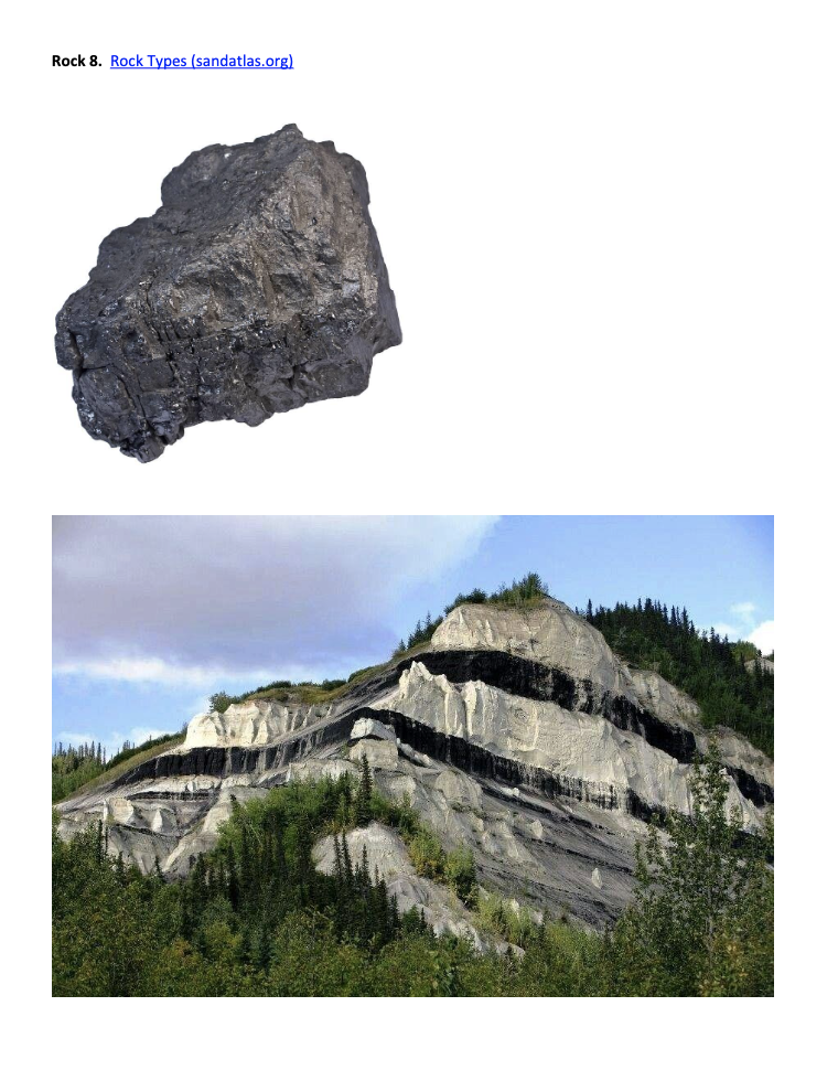 Solved GEOL 2520 Historical Geology, Lab 3 rock samples | Chegg.com