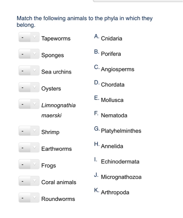 Solved Match the following animals to the phyla in which | Chegg.com