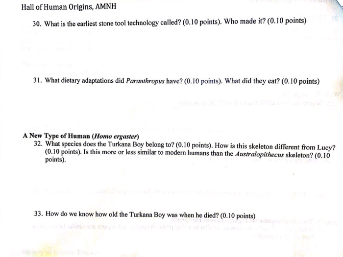 Solved Hall of Human Origins, AMNH 30. What is the earliest | Chegg.com