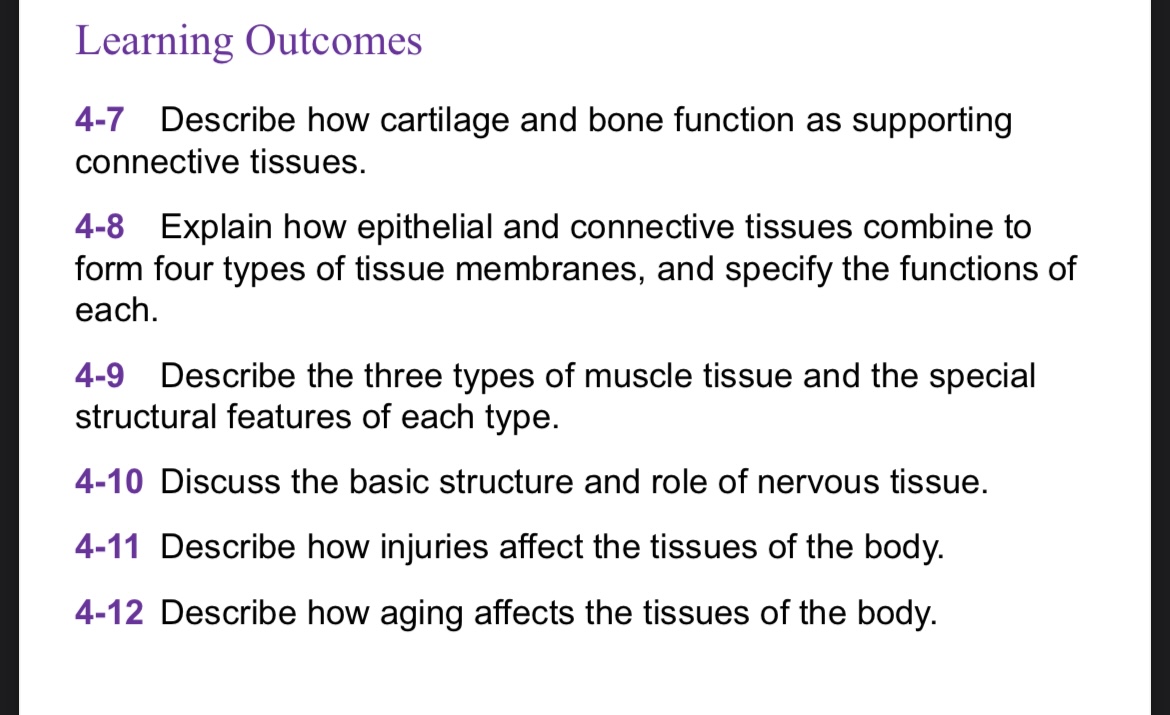 Solved Learning Outcomes4-7 ﻿Describe how cartilage and bone | Chegg.com