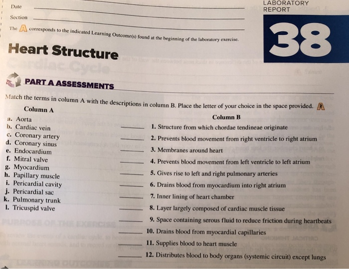 Solved LABORATORY REPORT I Date 38 Section The A corresponds | Chegg.com