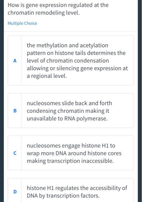Solved How Can Spatio Temporal Cell Development Be