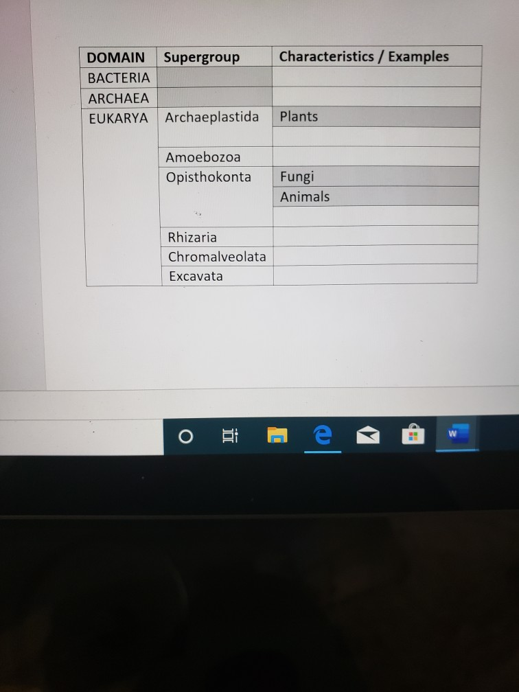 Solved Supergroup Characteristics / Examples DOMAIN BACTERIA | Chegg.com