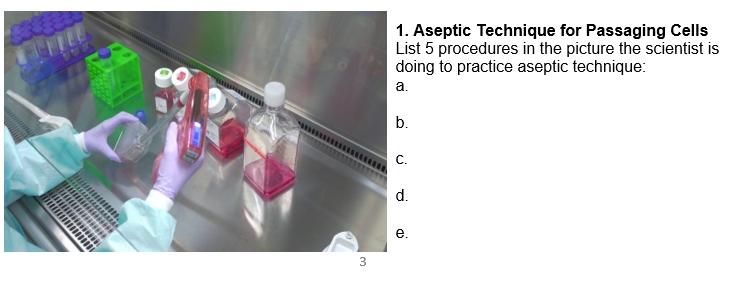 Solved 1. Aseptic Technique for Passaging Cells List 5 | Chegg.com