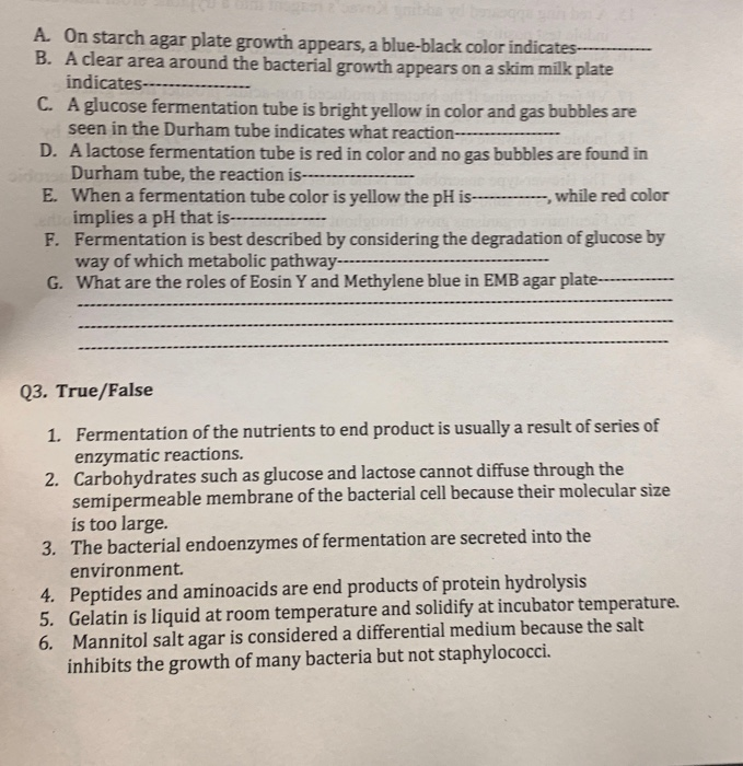 Solved A. On starch agar plate growth appears, a blue-black | Chegg.com