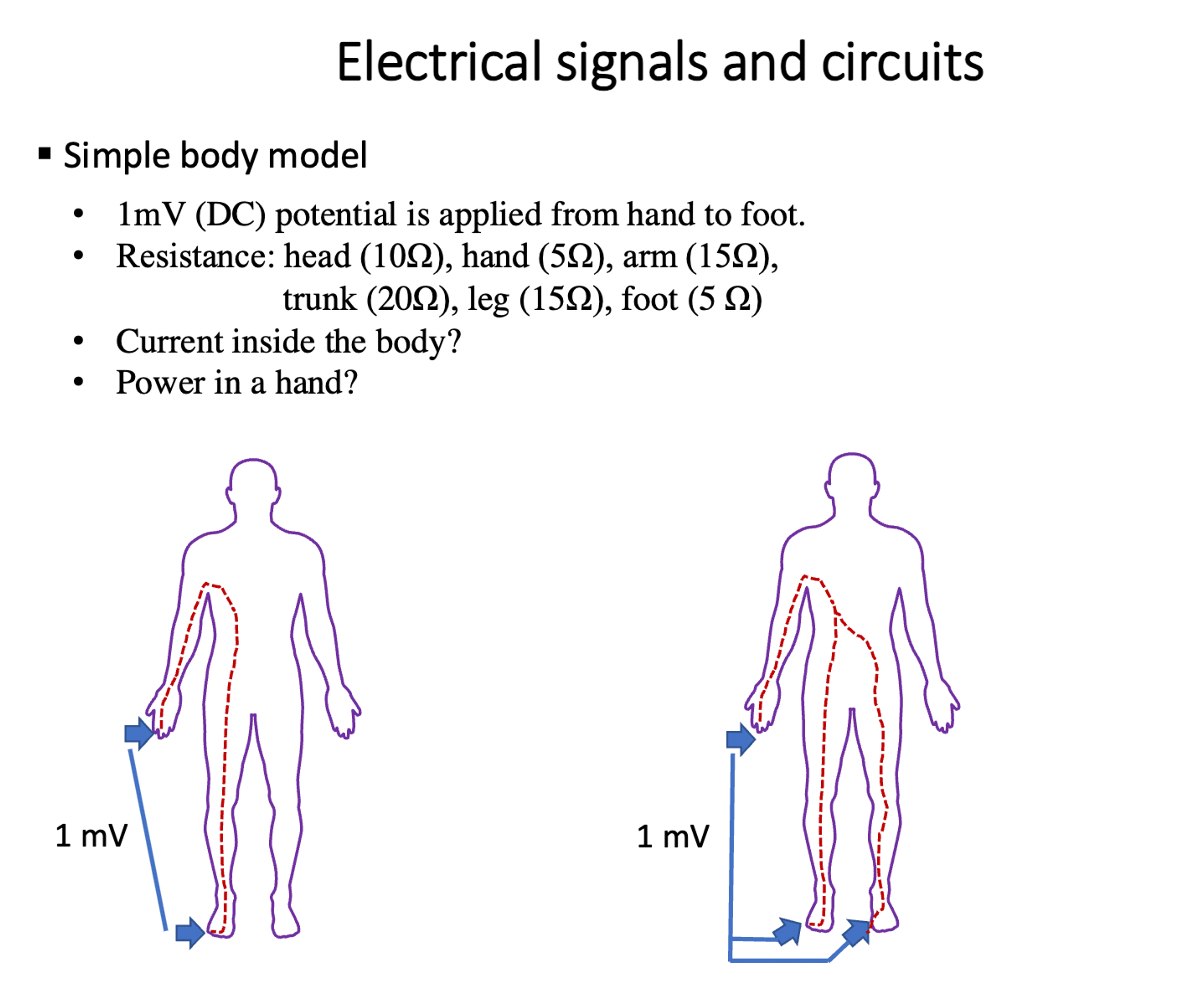 Solved Electrical signals and circuitsSimple body model1 ﻿mV | Chegg.com