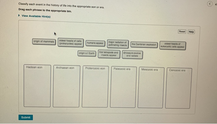 Solved Classify each event in the history of life into the | Chegg.com