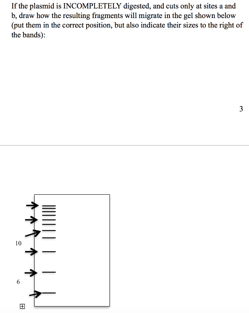 Solved A 3kb 6kb A Restriction Enzyme Ecori Cuts A Plasmid