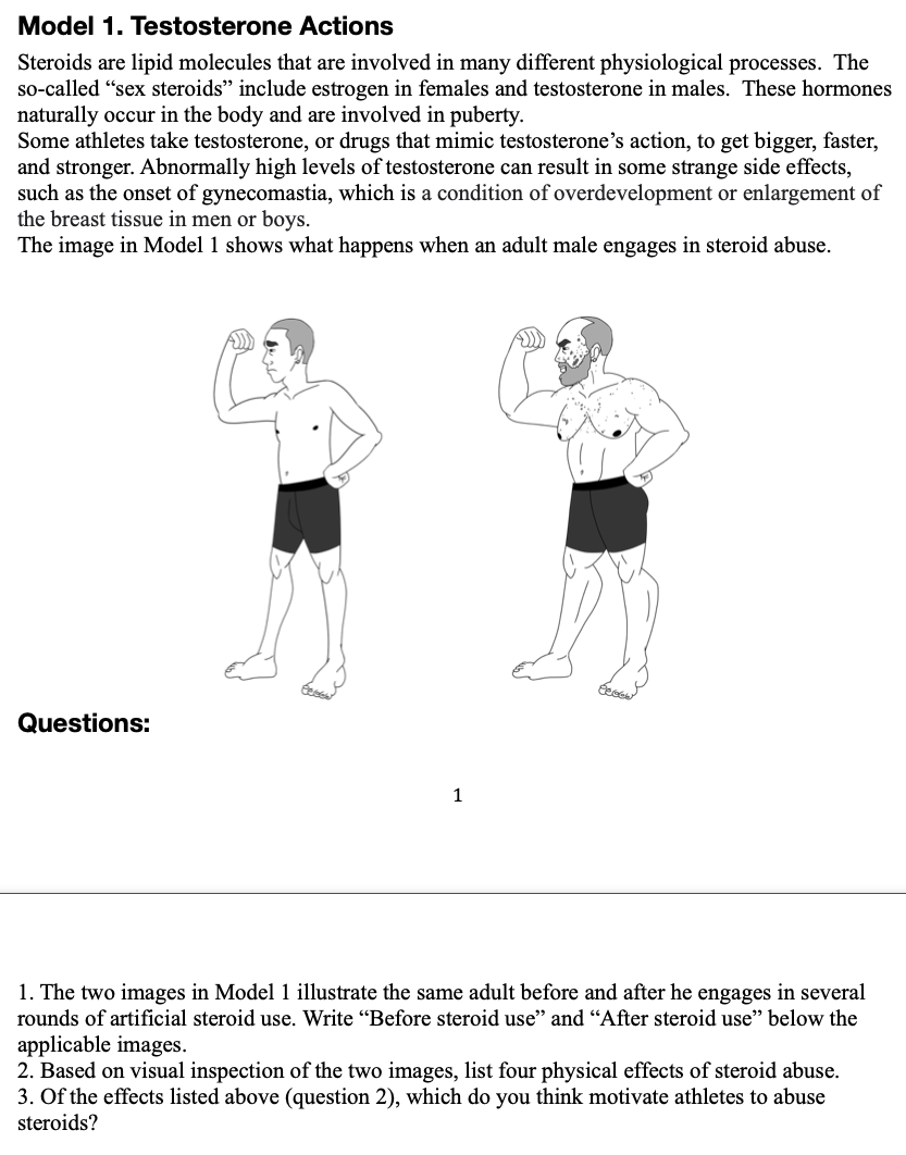 Model 1. Testosterone Actions Steroids are lipid | Chegg.com