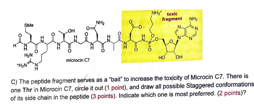 C) The peptide fragment serves as a "bait" to | Chegg.com