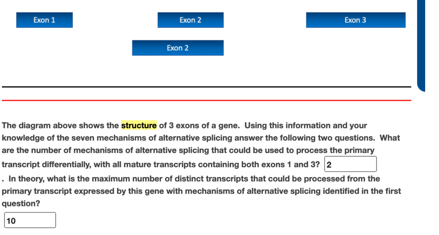 Solved Exon 1 Exon 3 Exon 2 The diagram above shows the | Chegg.com