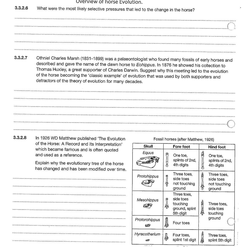 3.3.2.6 Overview of horse Evolution. What were the | Chegg.com