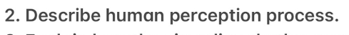 Solved 2. Describe human perception process. | Chegg.com
