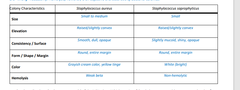 Staphylococcus Saprophyticus Colony Morphology