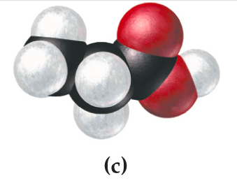 Solved Based on the following space-filling models, identify | Chegg.com
