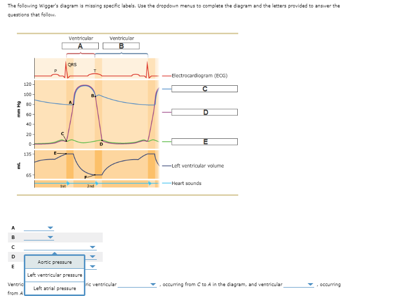 Solved 4. Wigger's diagram The mechanical events of the | Chegg.com Solved 4. Wigger's diagram The mechanical events of the | Chegg.com