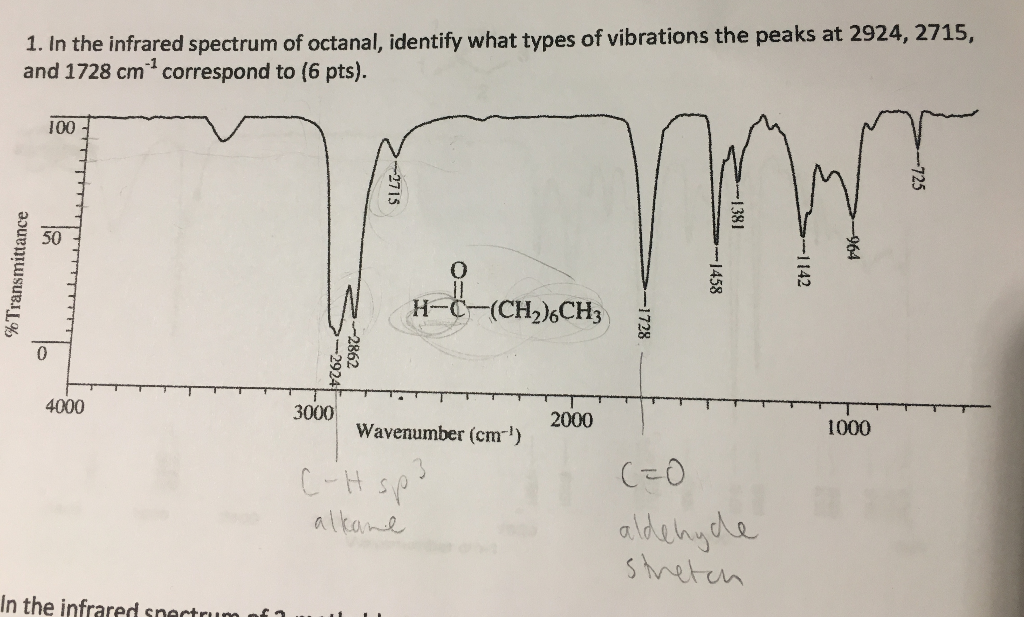 Solved In the infrared spectrum of octanal, identify what | Chegg.com