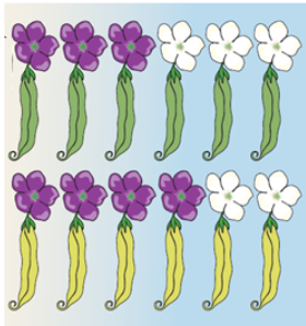 Solved Two-Table (Part 2 of 2) Using the box and image | Chegg.com