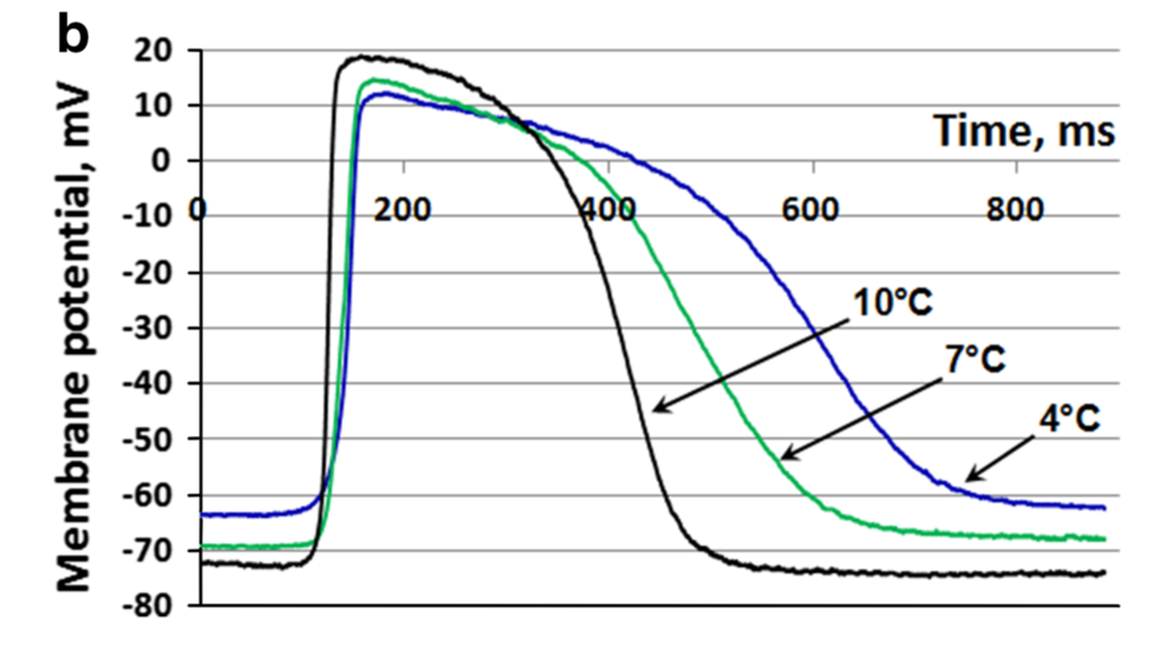 Solved Please help me with these - more than one answer may | Chegg.com