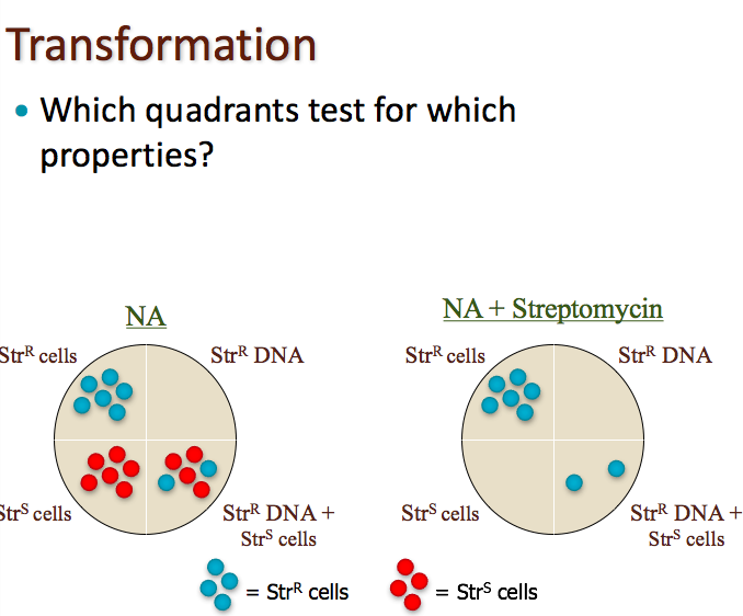 Solved 1.) For each of the standardized conditions for the | Chegg.com