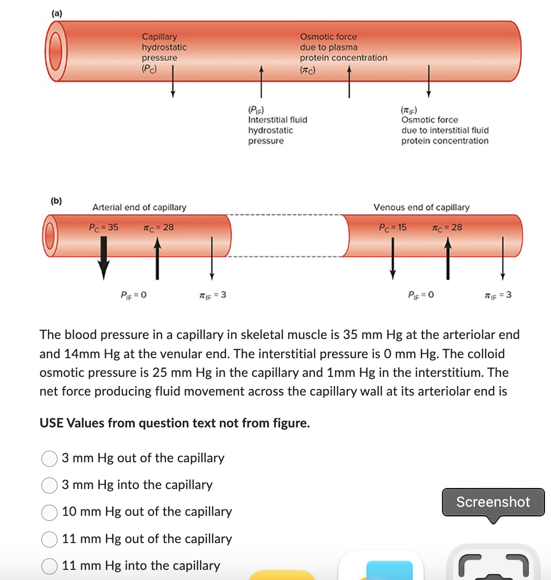 Solved The blood pressure in a capillary in skeletal muscle | Chegg.com