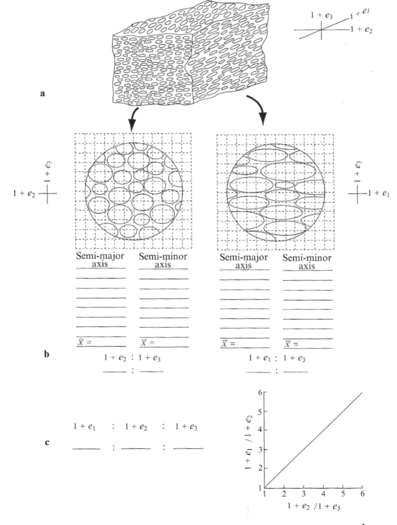Solved Below is a sketch of a hand specimen of oolite. The | Chegg.com