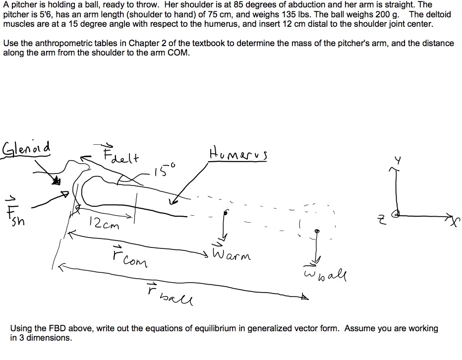 A pitcher is holding a ball, ready to throw. Her | Chegg.com