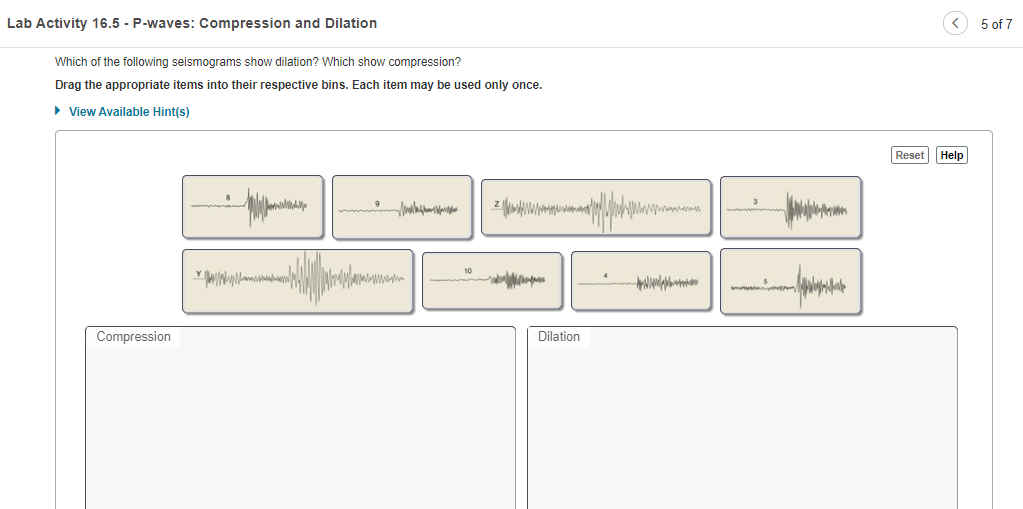 Solved Lab Activity 16.5 - P-waves: Compression and Dilation | Chegg.com