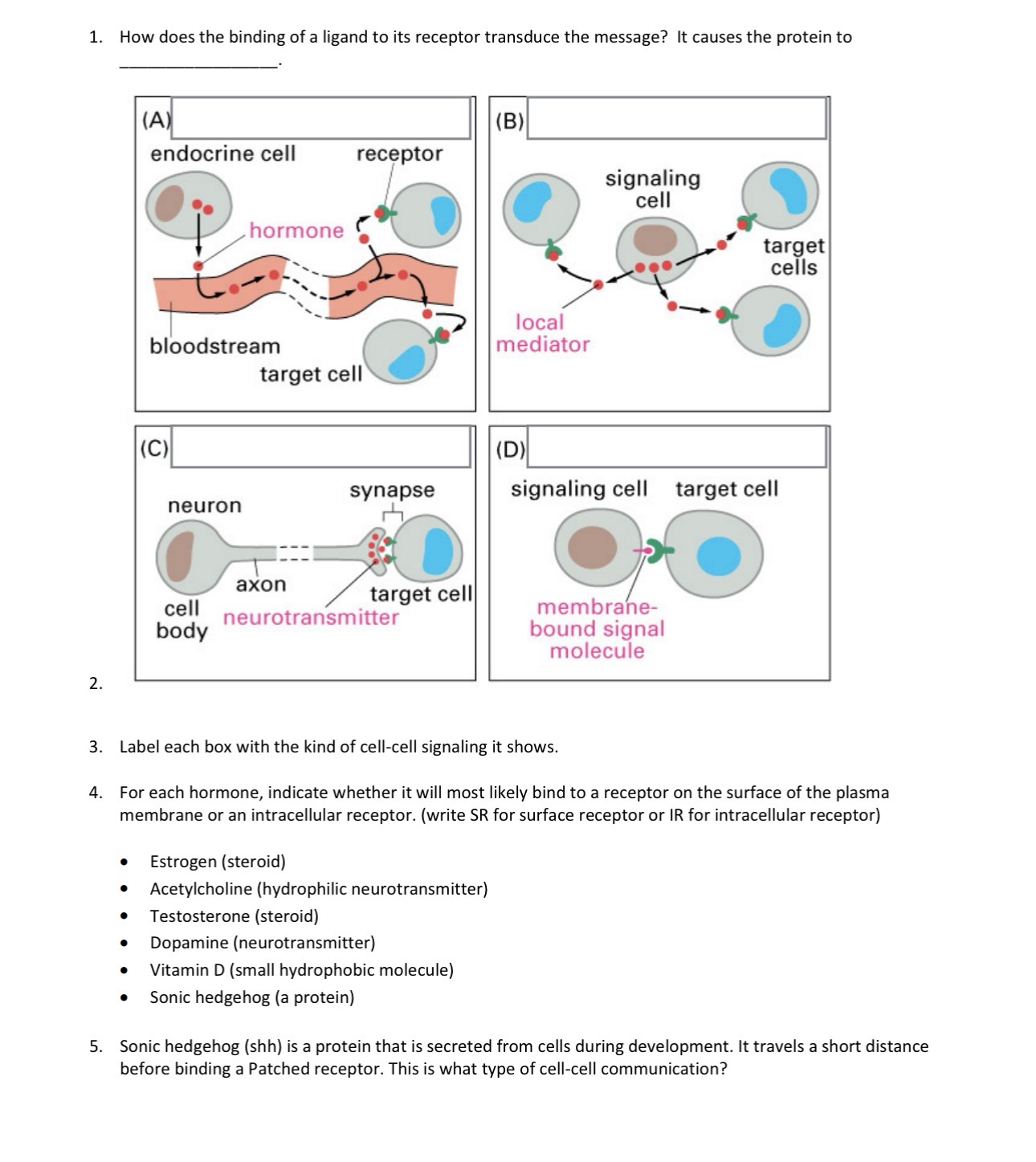 Solved How does the binding of a ligand to its receptor | Chegg.com
