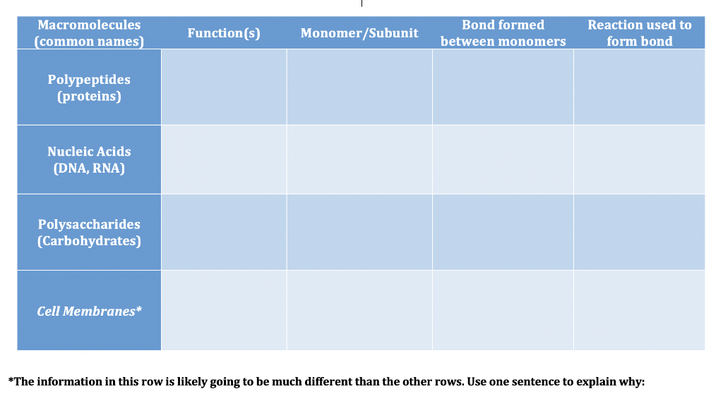 Solved Macromolecules (common names Function(s) | Chegg.com