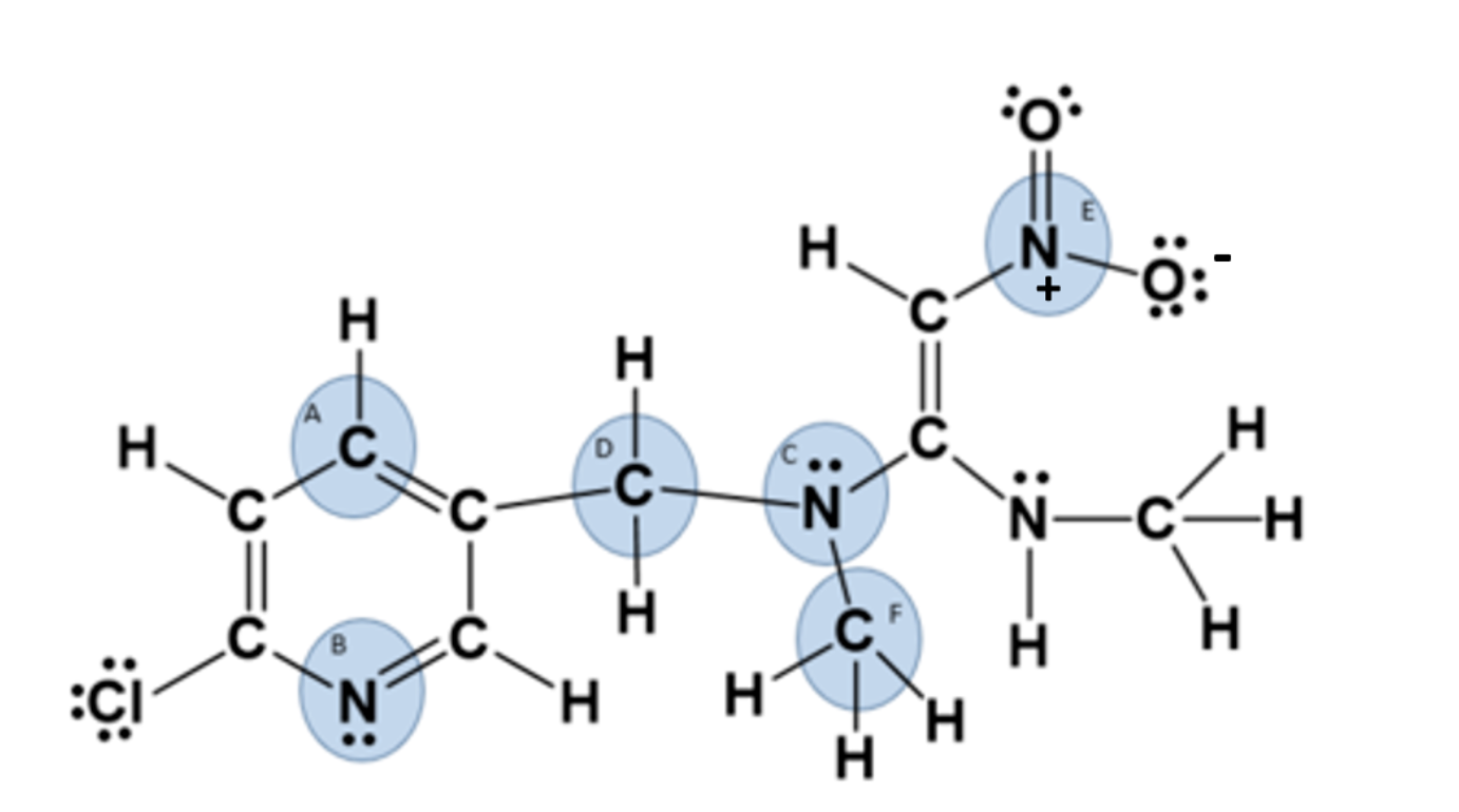 Solved For the molecule above, answer the following | Chegg.com