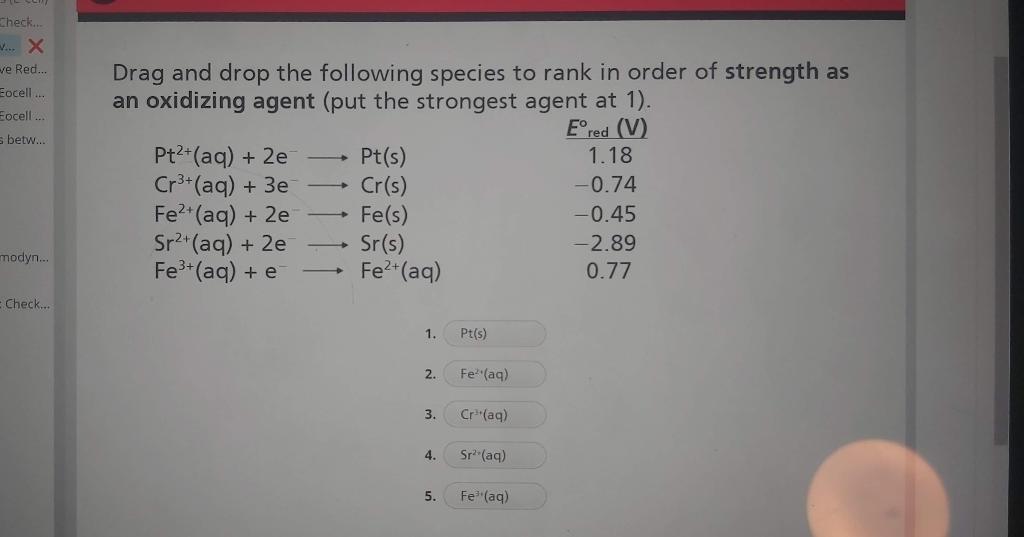 Solved Check... ve Red... Eocell... Eocell... s betw... Drag | Chegg.com