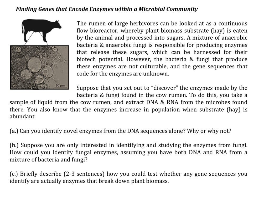 Solved Finding Genes that Encode Enzymes within a Microbial | Chegg.com