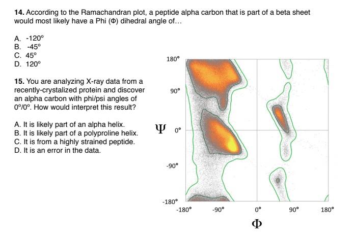 Solved 14. According to the Ramachandran plot, a peptide | Chegg.com