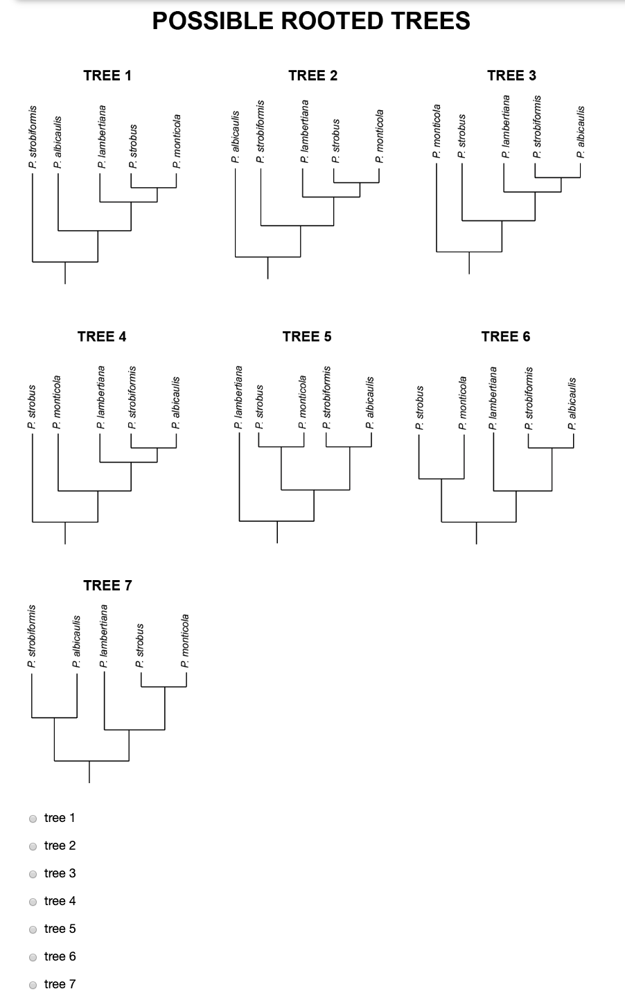 Solved Here is an unrooted tree describing relationships | Chegg.com